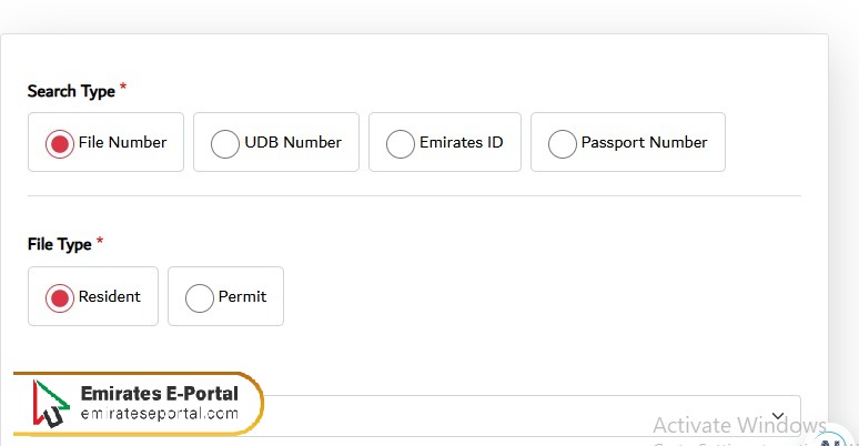 UAE Overstay Fine Check Online - Emirates E-Portal