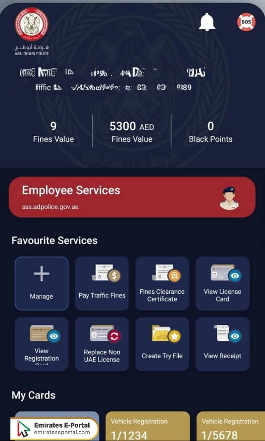 EVG Fine Check Abu Dhabi - Emirates E-Portal